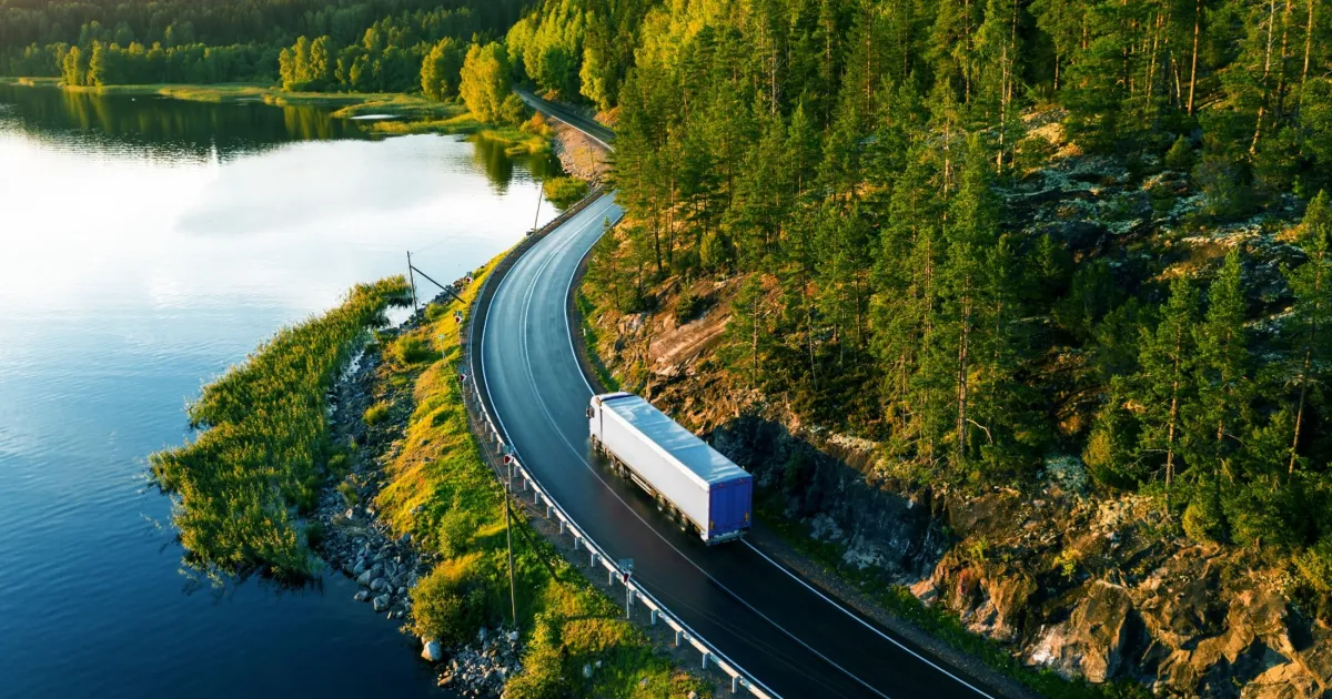 Reporting | TIP Group