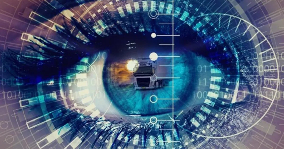 TIP Insight Digital Services | TIP Group