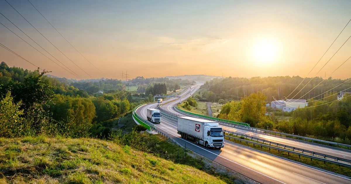 TIP knowledge | TIP Group